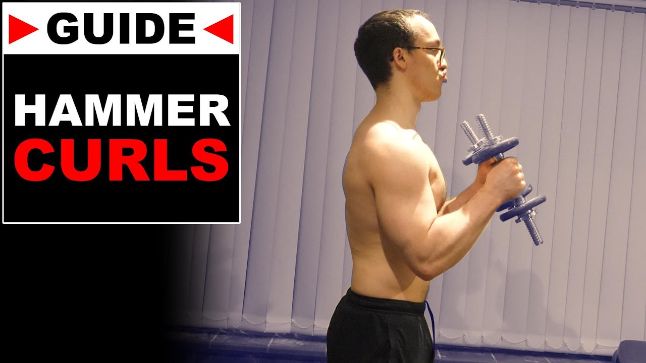 Hammer Curls QUICK GUIDE 3 Steps! - YouTube