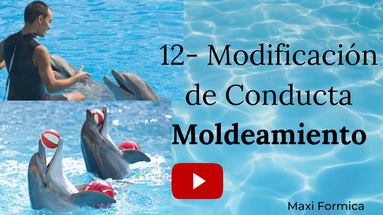 12- Moldeamiento- Modificación de conducta - YouTube