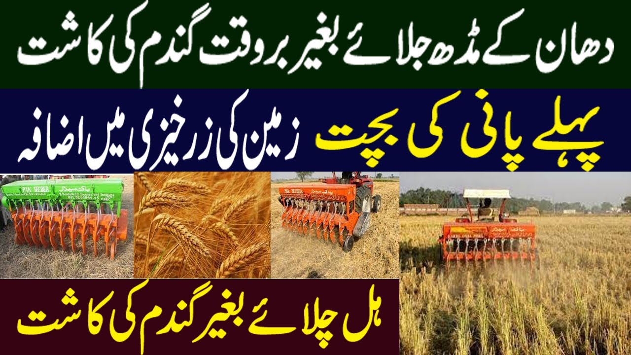 Wheat Planted BY Pak Seeder | Best Method Of Wheat Sowing | Wheat ...