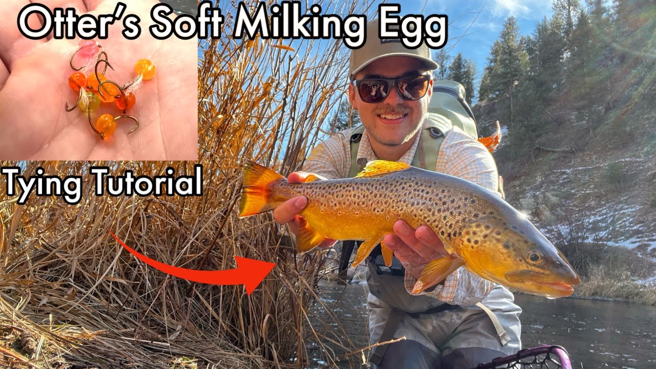 Fly Tying the Otter’s Soft Milking Egg: The MOST EFFECTIVE Egg Pattern - YouTube