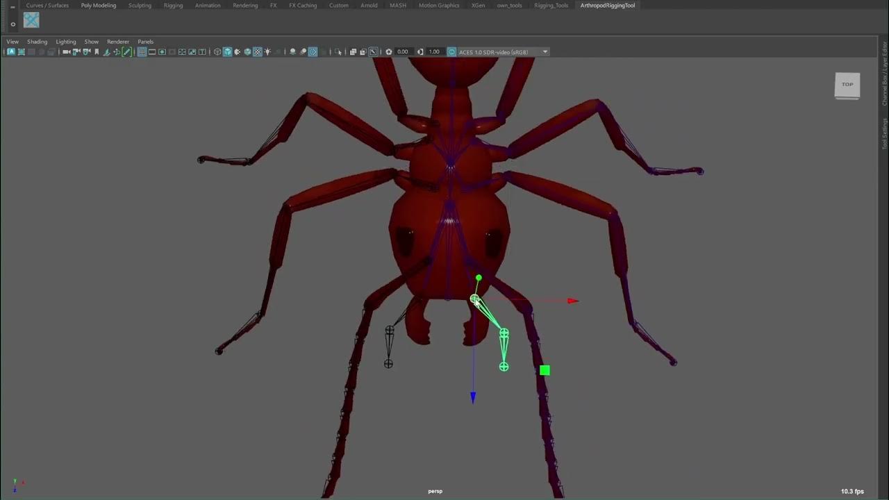 Rigging Process - Arthropod Rigging Tool - YouTube