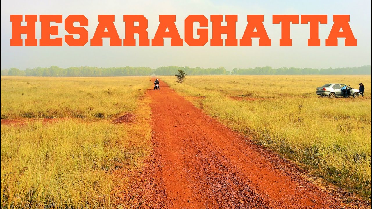 Early morning ride to Hesaraghatta grasslands - YouTube