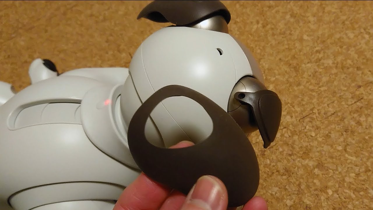 aiboの耳はたまに外れます。 - Aibo's ears sometimes comes off. 【アイボ】 - YouTube