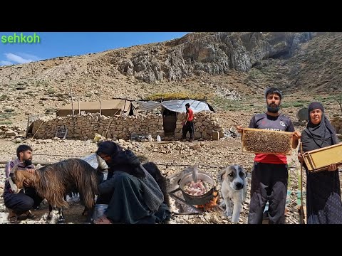 A Day with a Nomadic Family in Iran | Goat Milking, Traditional Cooking & Beekeeping