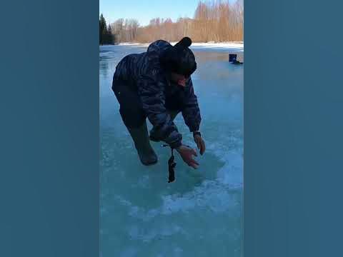 Электронная удочка Спутник Sputnik - Тест, #зимняярыбалка # ...