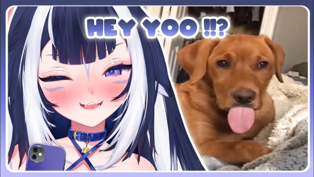 Shylily React To UNUSUAL MEMES COMPILATION V289 - YouTube