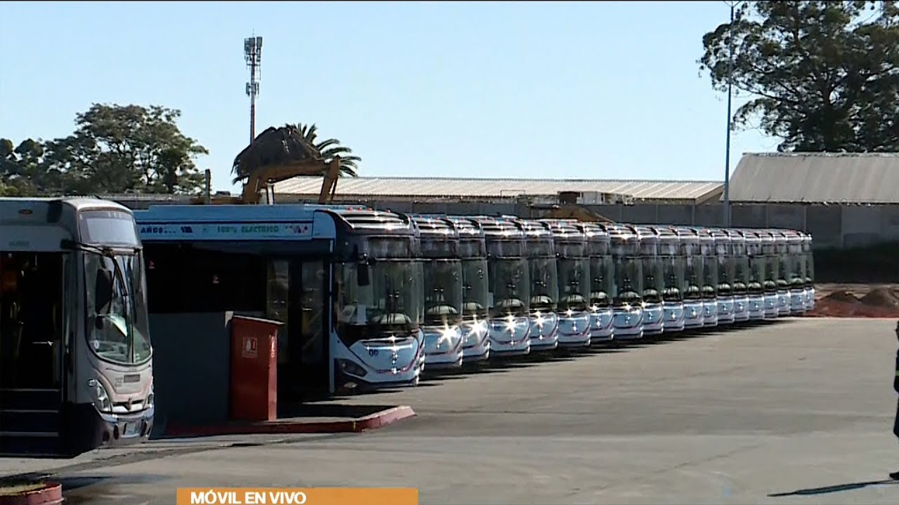 Móvil- Buses turísticos eléctricos llegaron a Montevideo/ Juan Salgado ...