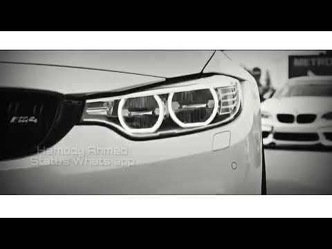 حالات واتس اغانى اجنبى  | Amorf   dido   Status Whats app