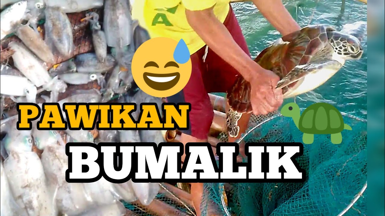 Pawikan Bumalik Fish Trap Bunsod Ep 4 #fishing - YouTube