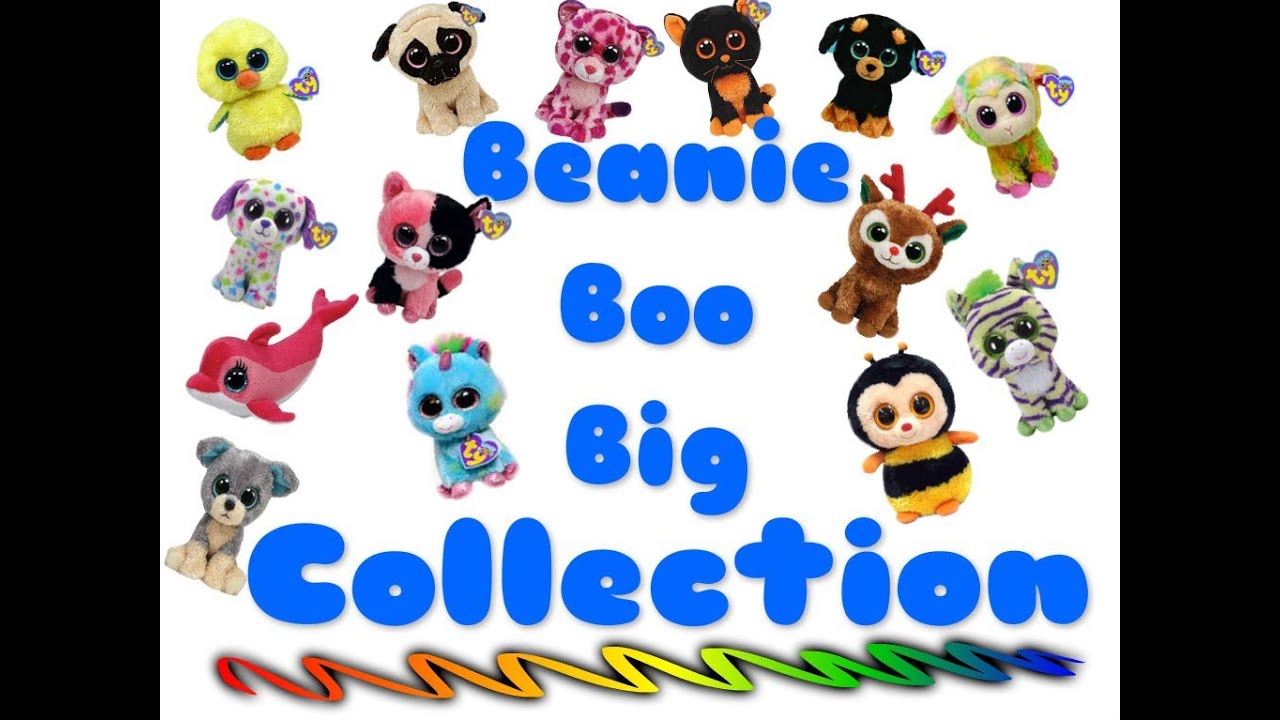 Beanie Boo Big Collection ( Update ) - 83 Beanie Boo's - YouTube