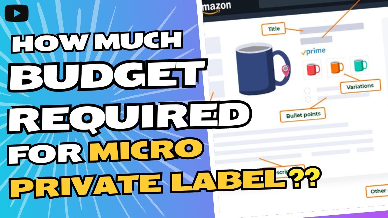 How Much Budget Required to Build Micro Private Label ? | For Beginners ...