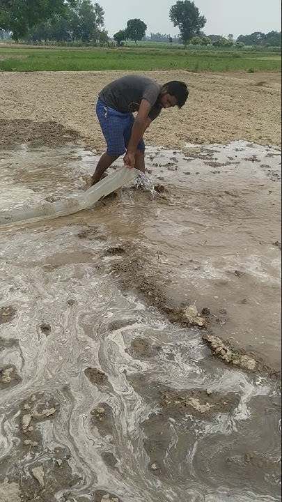 khet me kaam karte hue - YouTube