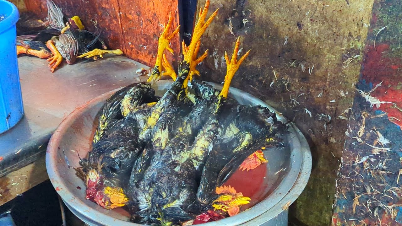 Chicken Skin Cleaning And Cutting | Country Chicken Cleaning Verious ...