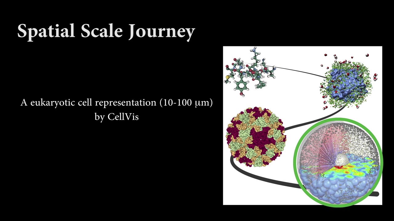 Molecular Visualization of Computational Biology Data: A Survey of ...