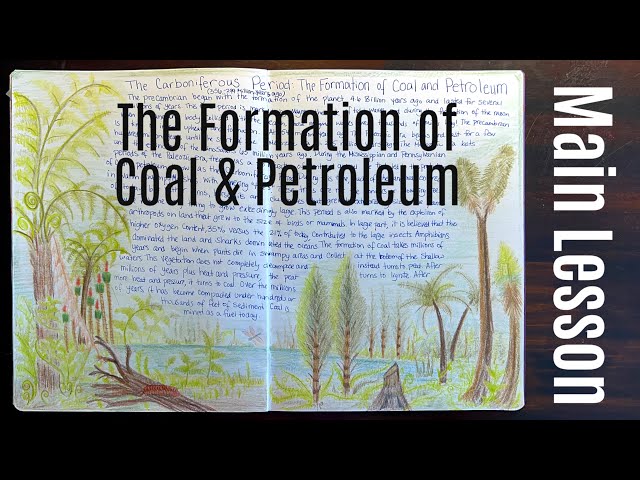 Formation Of Coal And Petroleum