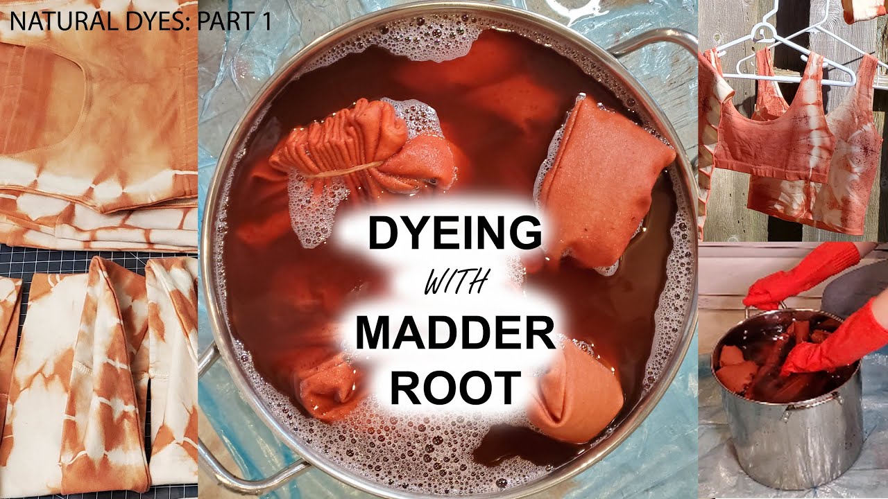 Natural Dyes Part 1 Dyeing with Madder Root - YouTube