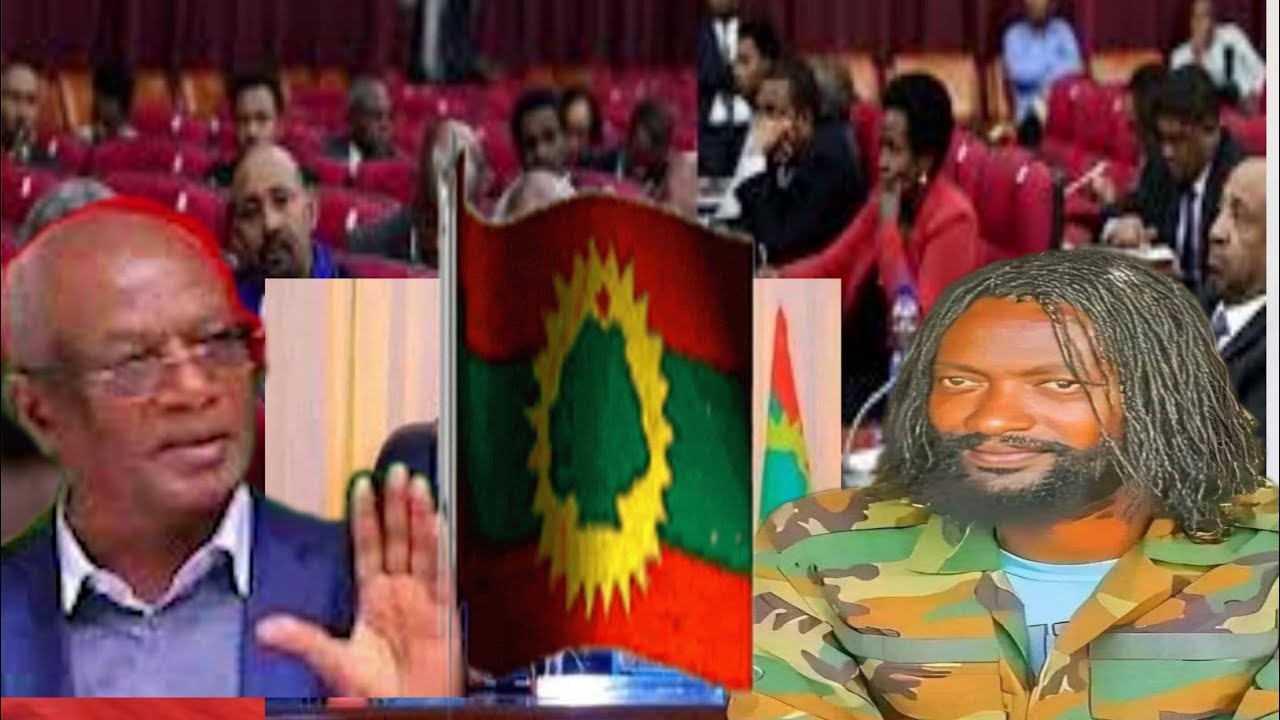 Oduu Afaan Oromoo galgala kana - YouTube