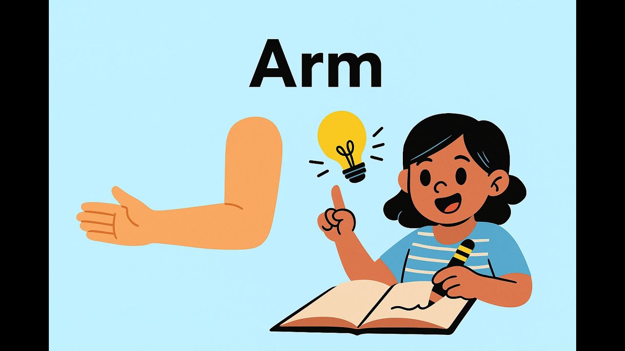 What Is an Arm? | Body Parts for Kids | Fun Learning with IQ Tubeschool ...