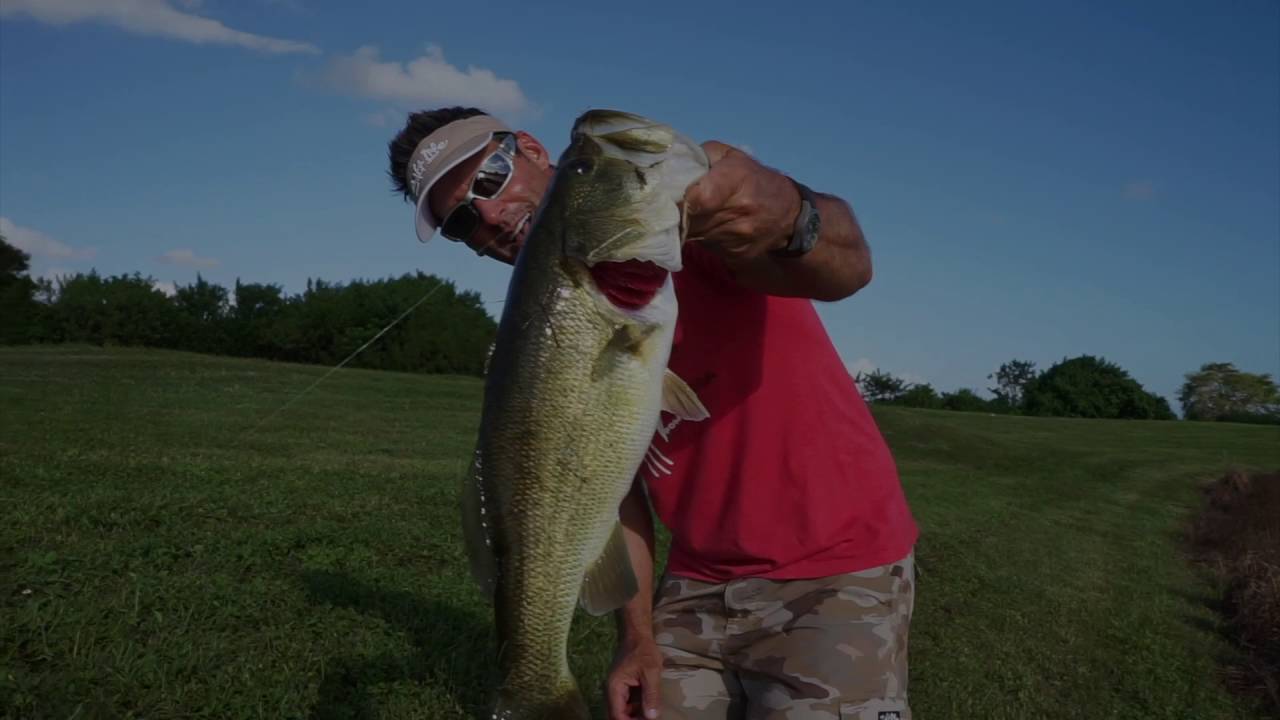 Largemouth and Peacock Bass in Miami | Peter Miller Fishing - YouTube