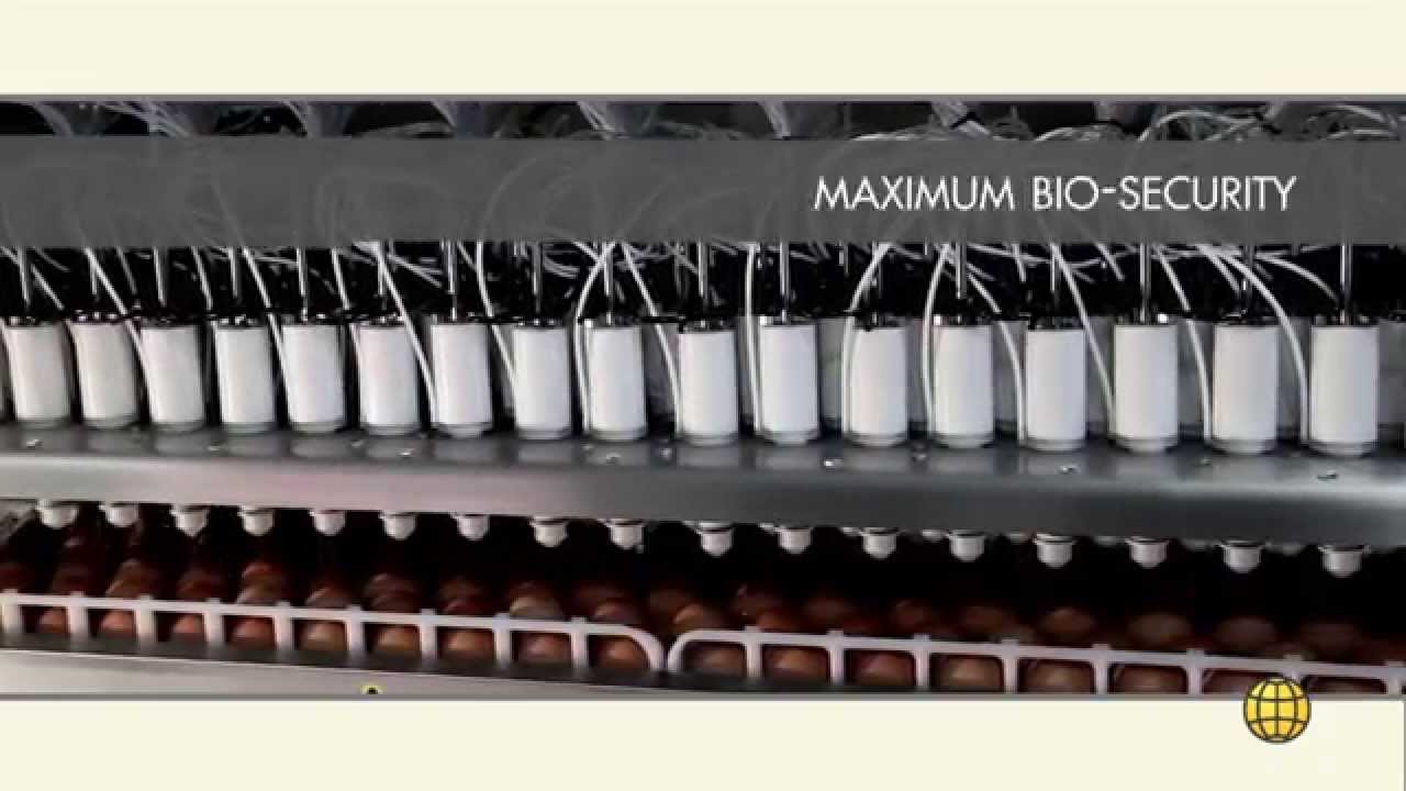 Vaxxinator 1000 - SANOVO VAX - YouTube