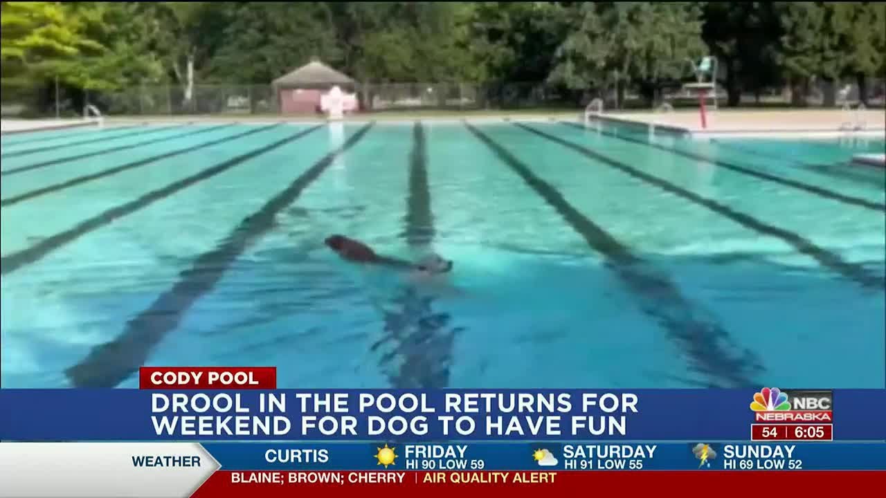 Cody Pool hosts their annual Drool in the Pool event for dogs - YouTube