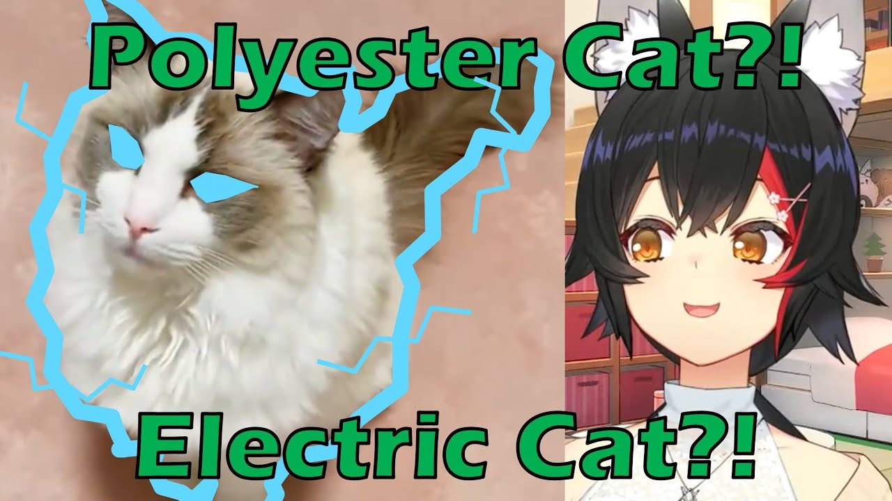 [ 27 Oct 2021 ] Mio's Cat Taiga Is An Electric-Type, Polyester Cat ...