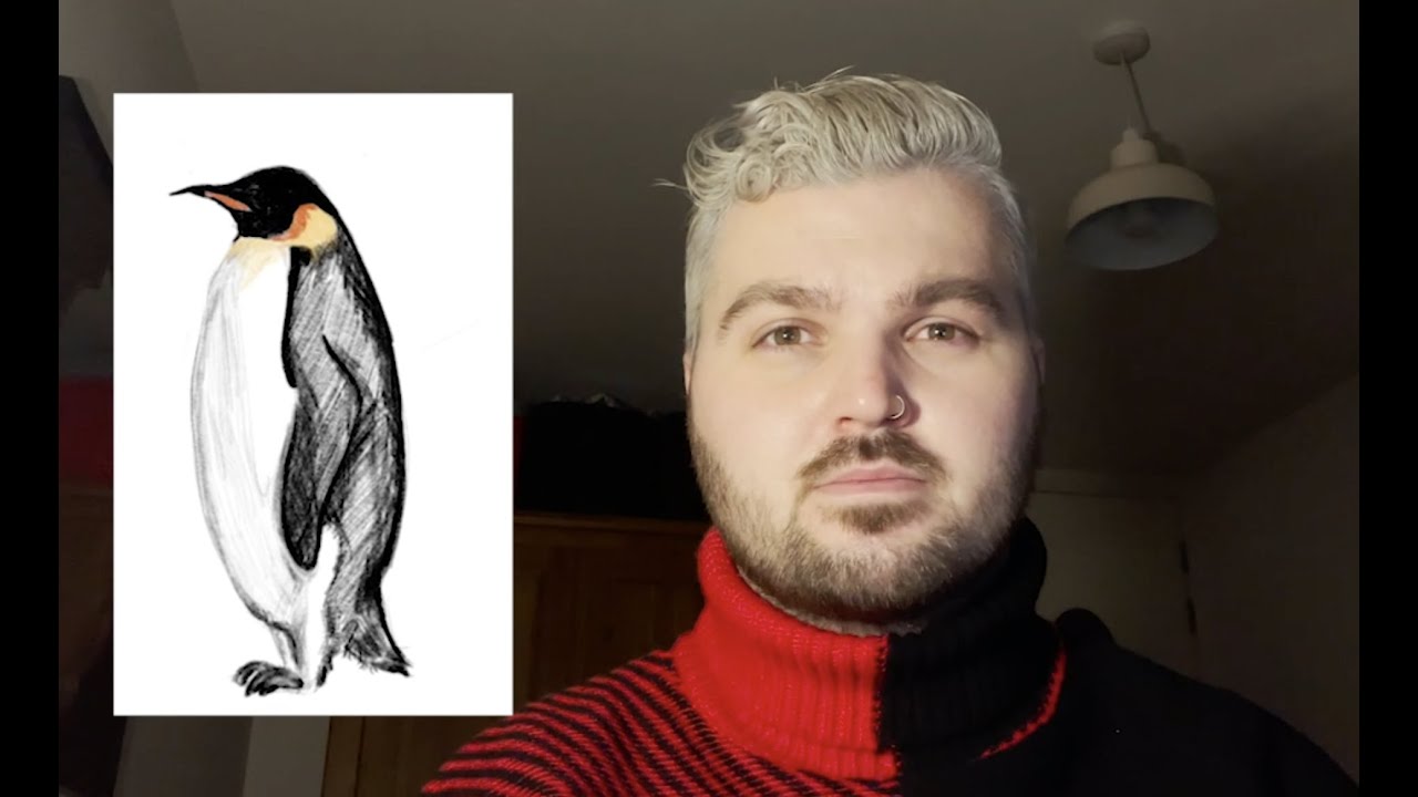 How to Draw an Emperor Penguin - YouTube