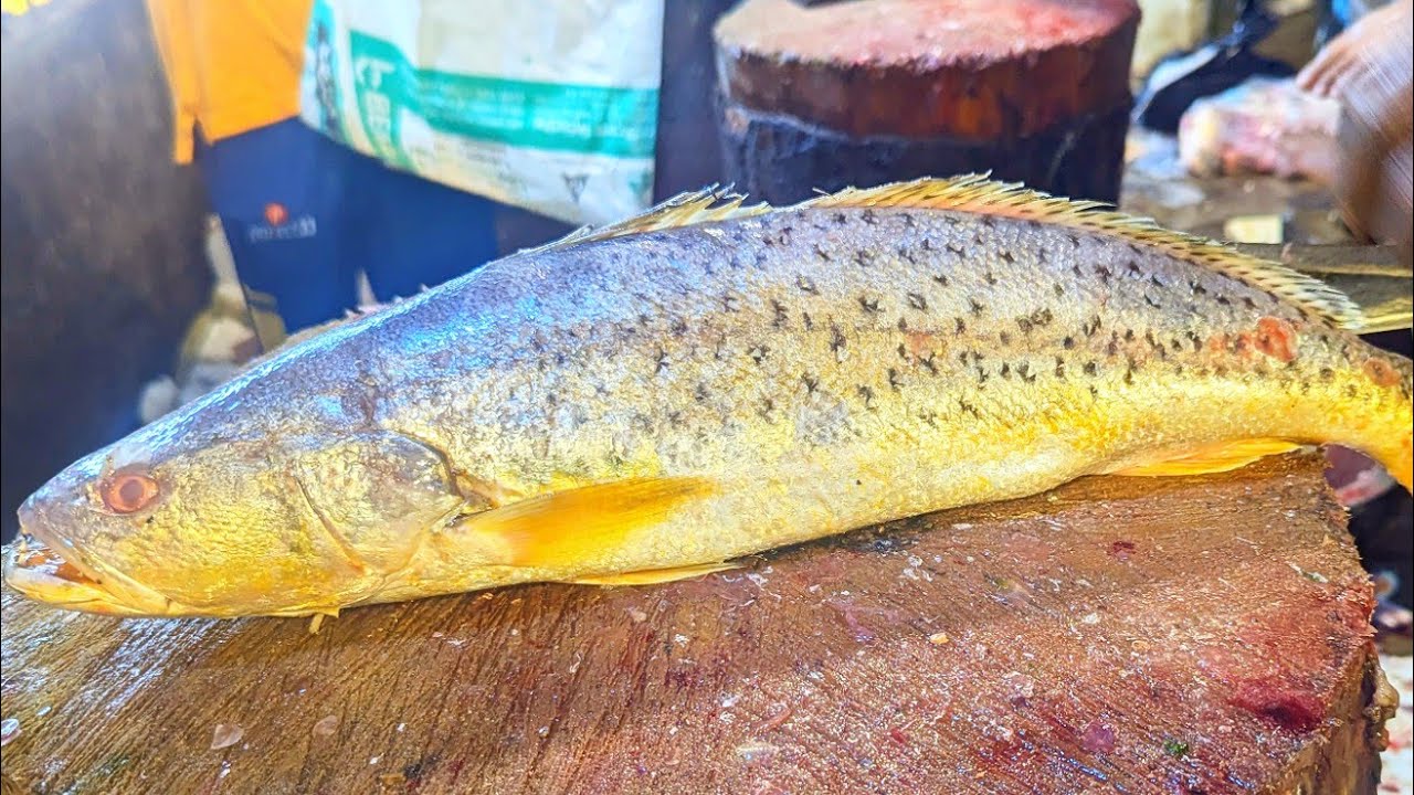 Most Popular Big Poa Fish Cutting Skills Live In Fish Market | Fish ...