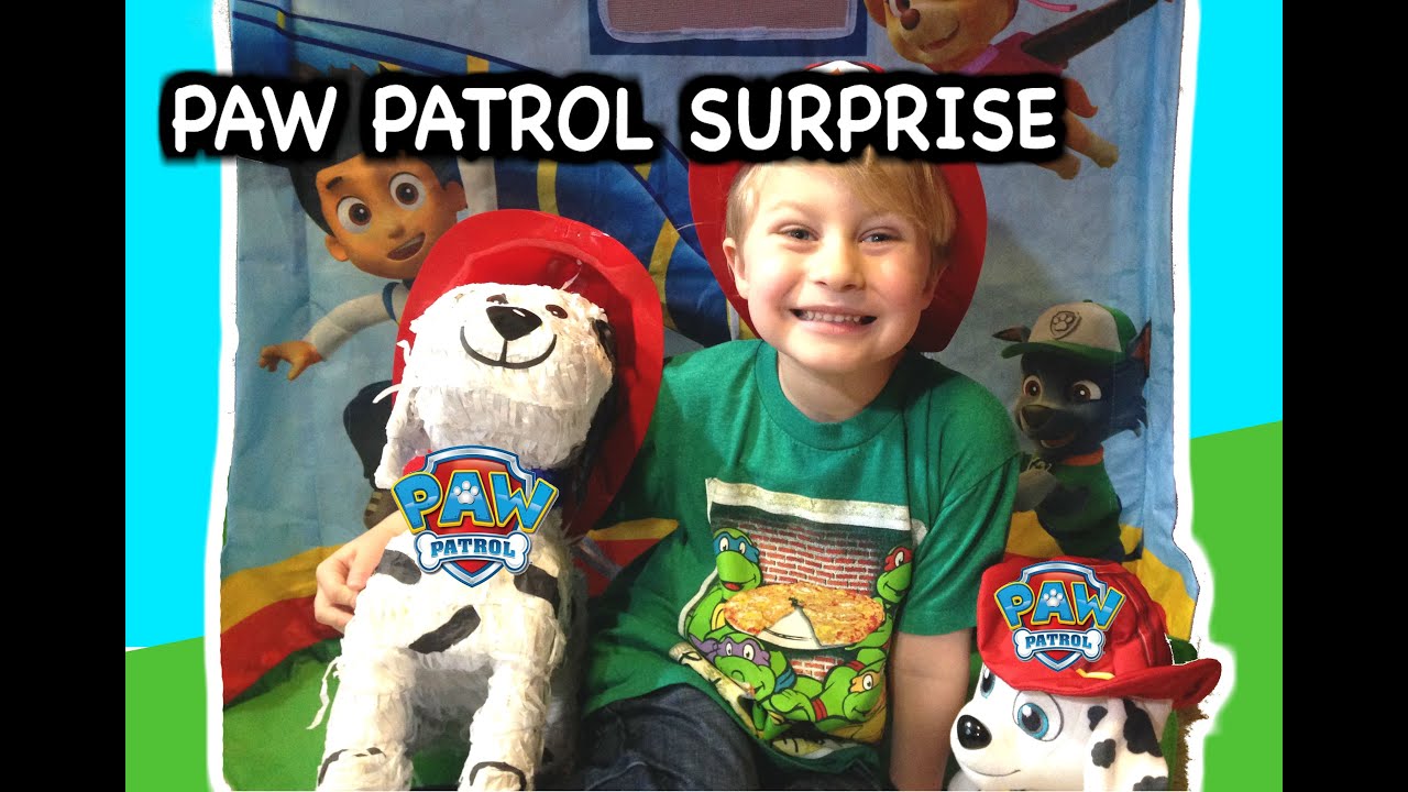 Paw Patrol SURPRISE with Paw Patrol Toys, Talking Marshall, Surprise ...