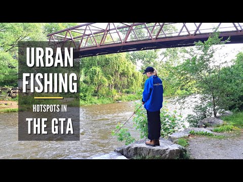 Erindale Park, Mississauga | Urban Fishing Locations in the GTA - YouTube