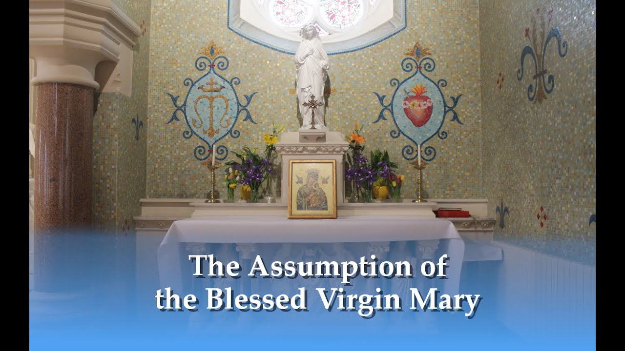6pm Mass, the Assumption of Our Lady, 15/08/20 - YouTube