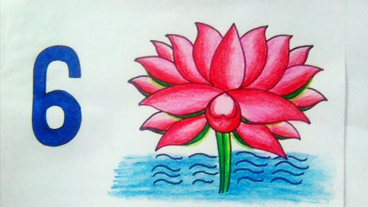 6 দিয়ে পদ্ন ফুল আঁকা শিখুন l lotus drawing using number from 6 l lotus ...