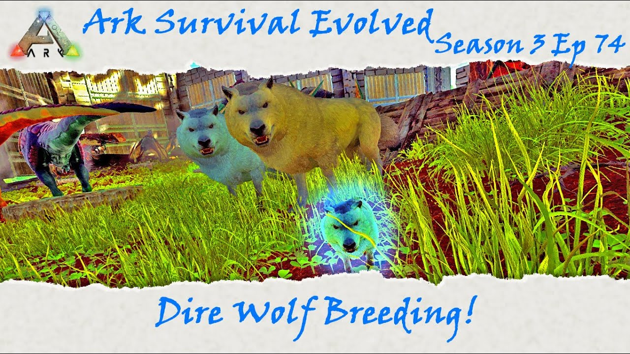 Ark Survival Evolved S3E74: Dire Wolf Taming, Breeding, and Imprinting ...