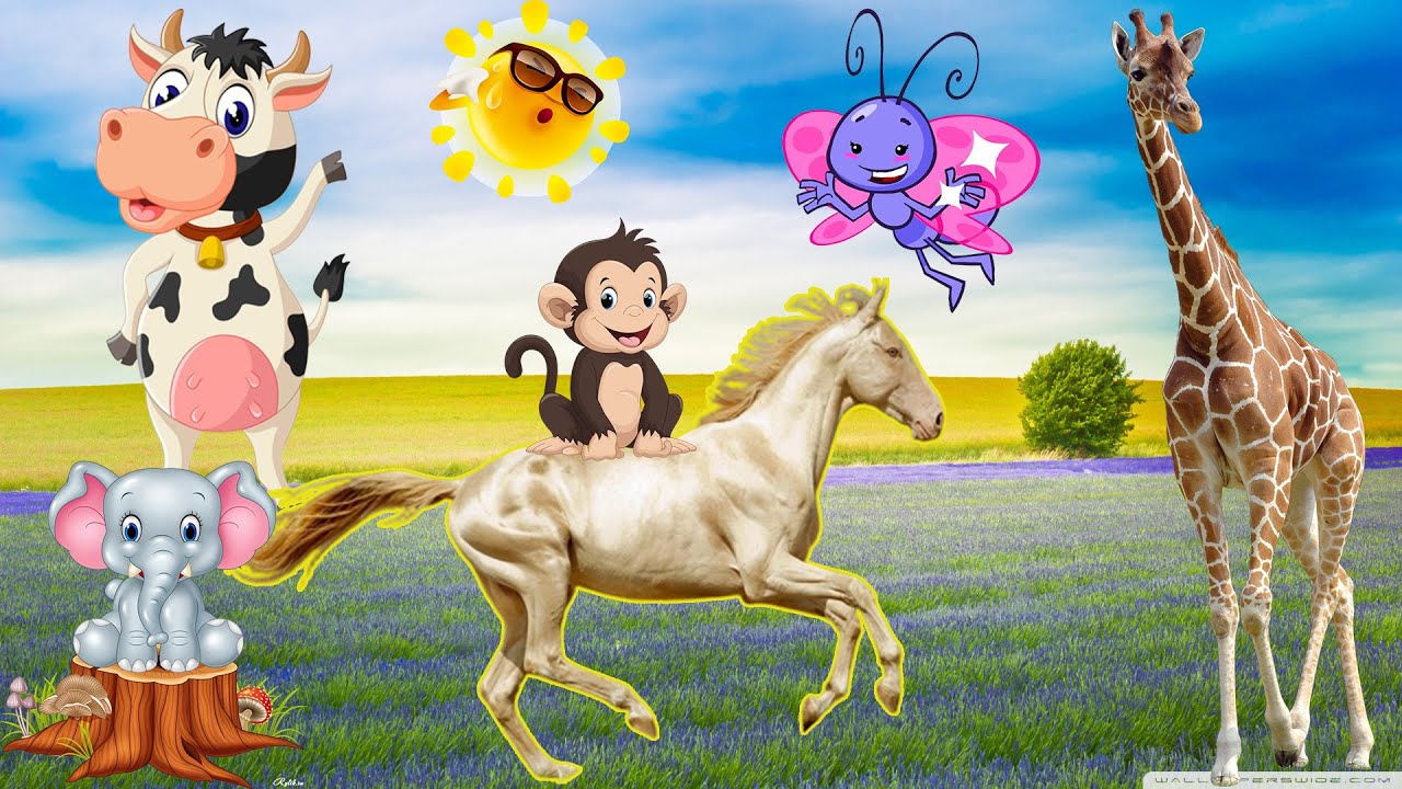 Lovely familiar animals, Vivid sounds of cows, cats, monkeys, sheep ...