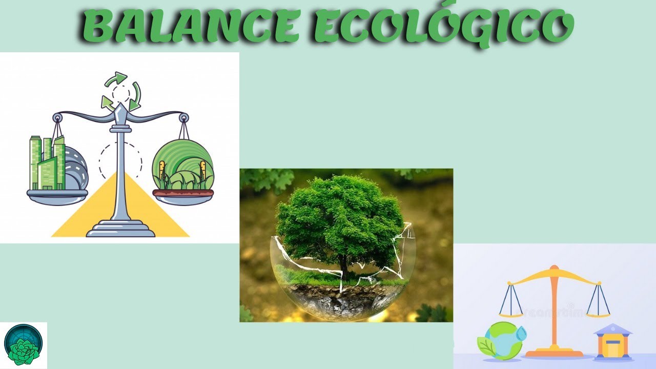 Balance ecológico - YouTube