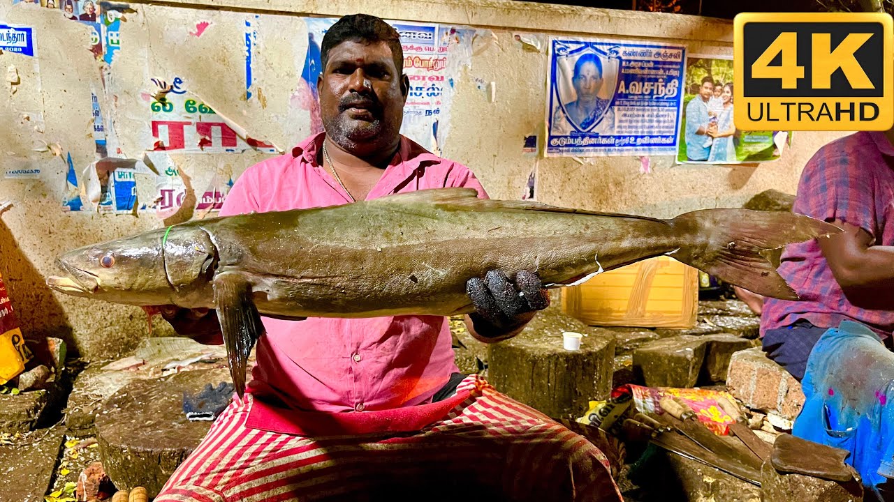 Kadora fish cutting videos Fishcuttingrs #fishcuttingrs #kasimedu #fish ...