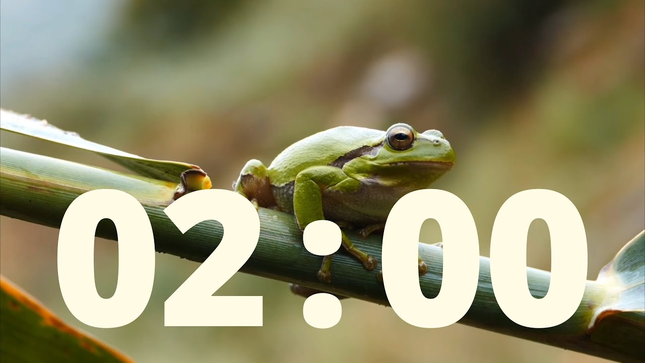 2 Minute Timer with Relaxing Rain Sounds and Alarm - YouTube