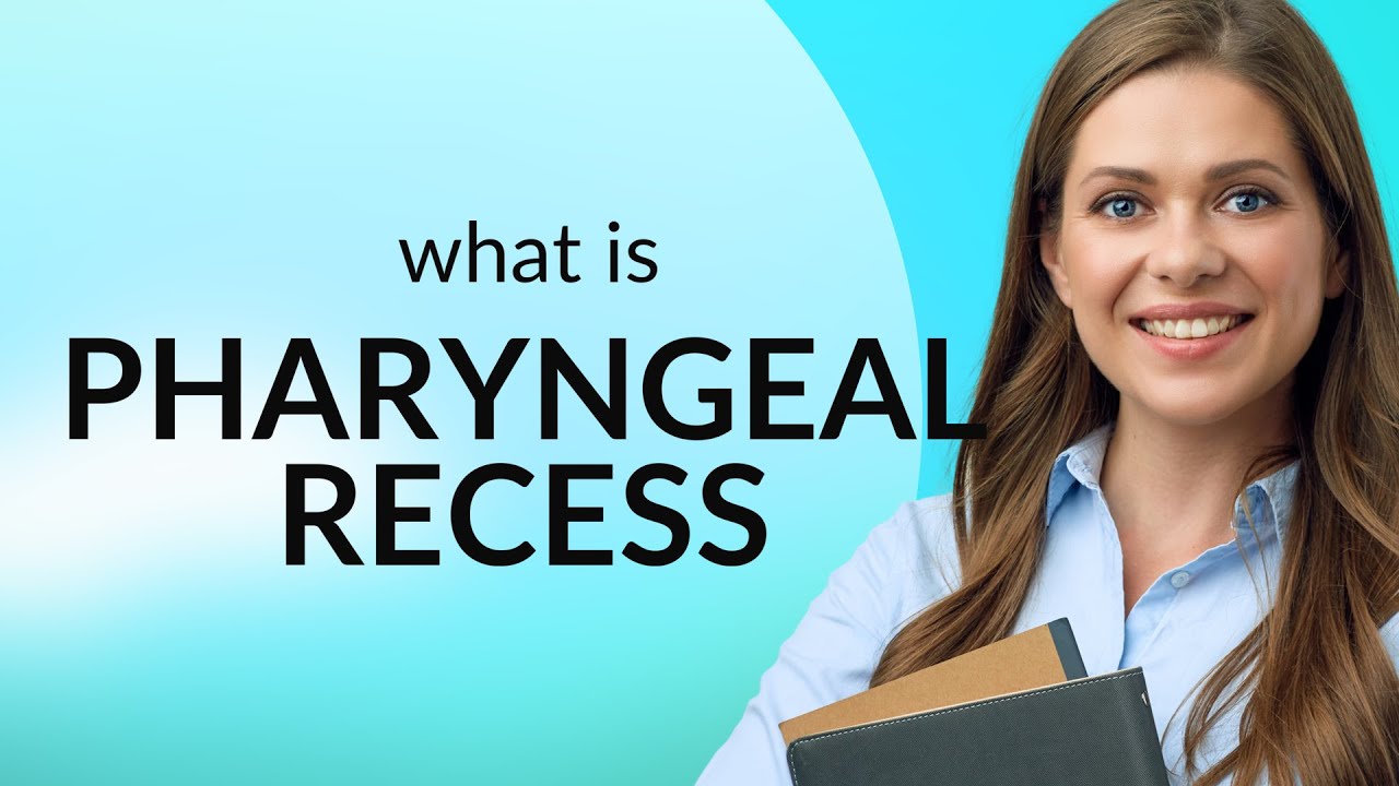 Pharyngeal recess | meaning of PHARYNGEAL RECESS - YouTube