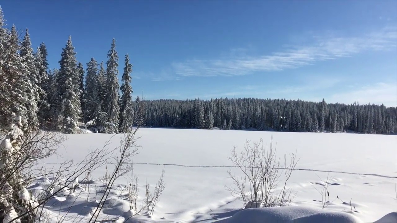 A Little Look at Henley Lake, BC - YouTube