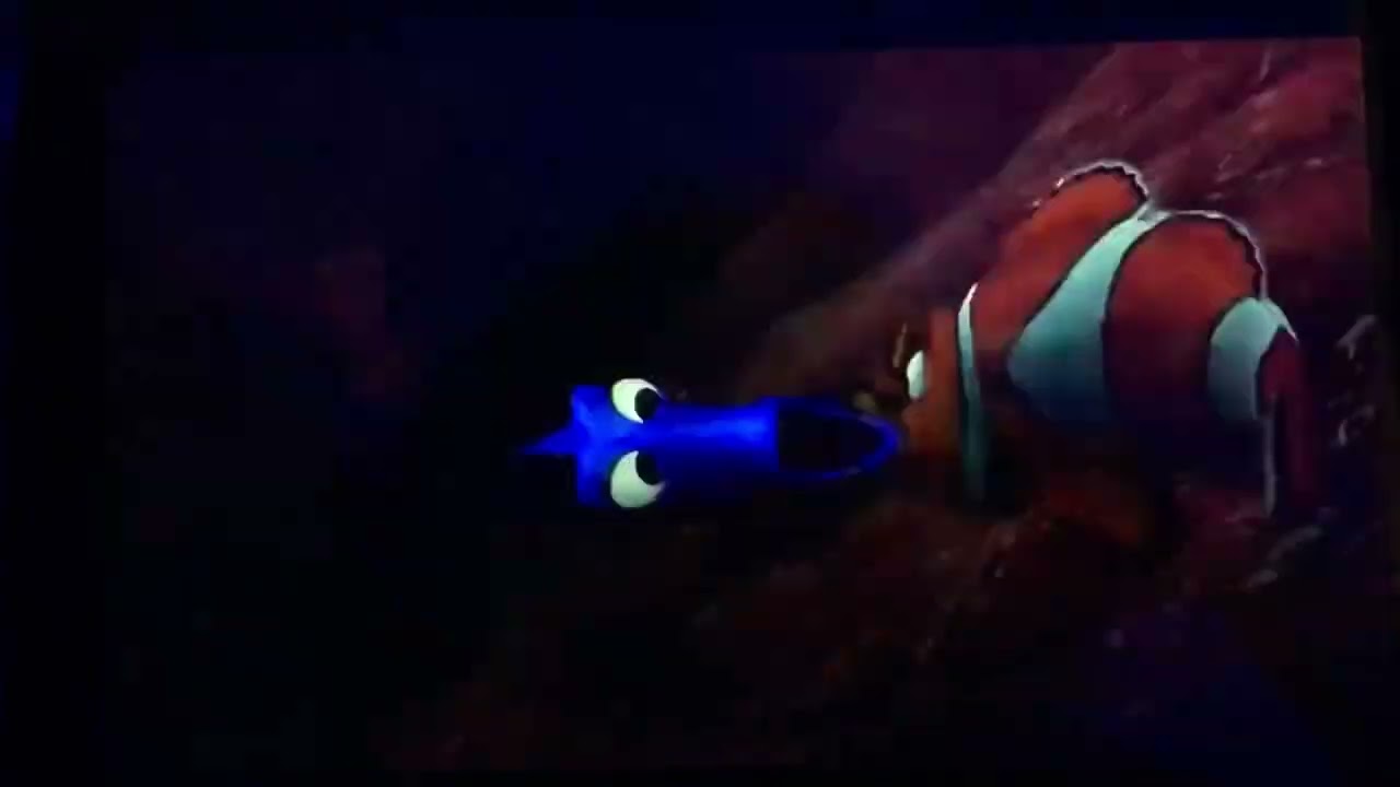 Finding nemo p Sherman 42 wallaby way Sydney in Portuguese - YouTube