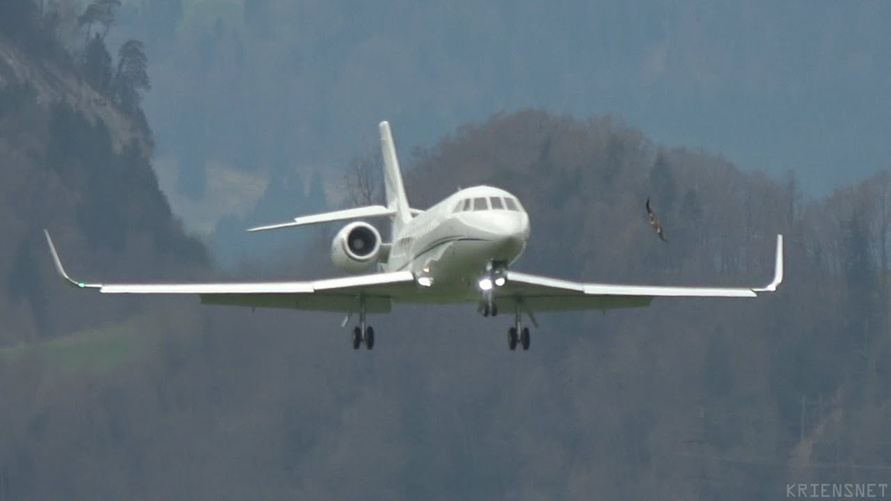Bird Strike while landing - Dassault Falcon 2000LX - YouTube