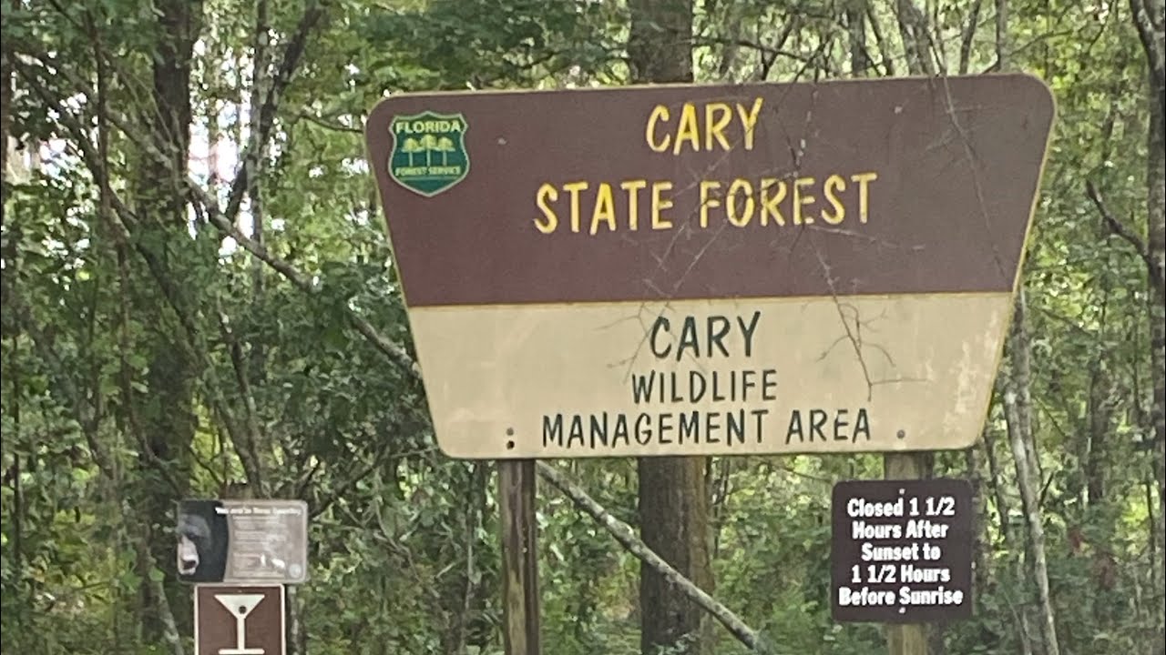 Cary State Forest - YouTube