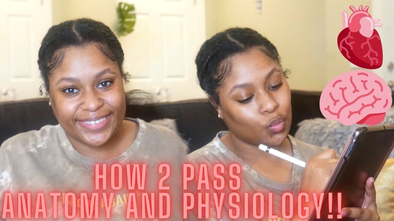 HOW TO MAKE AN A IN ANATOMY AND PHYSIOLOGY YouTube how-to-make-an-a-in-anatomy-and-physiology-youtube