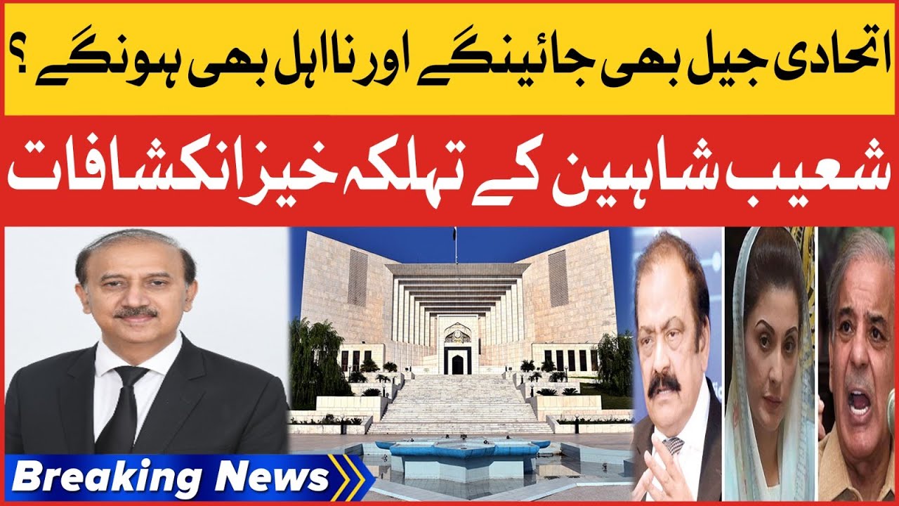 Shoaib Shaheen Shocking Revelations | PDM Leaders To Be Disqualified ...