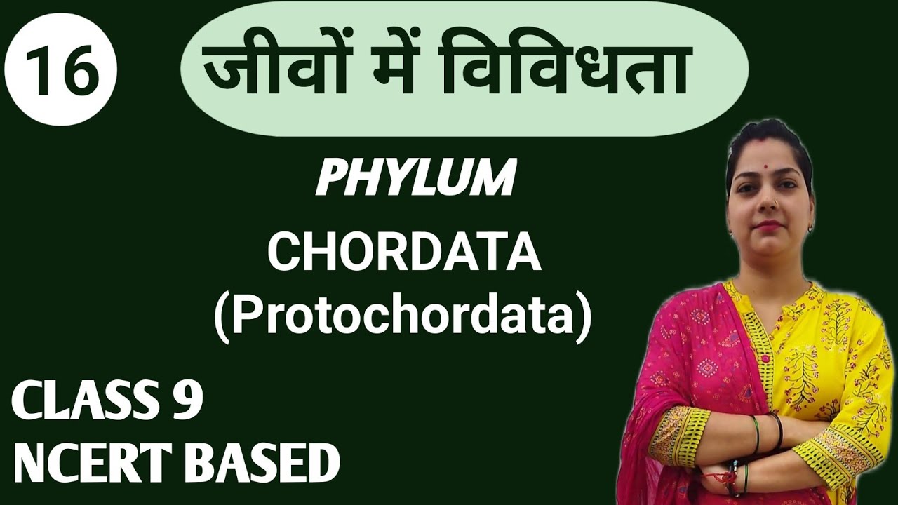 Classification Of Phylum Chordata With Characters Zoology