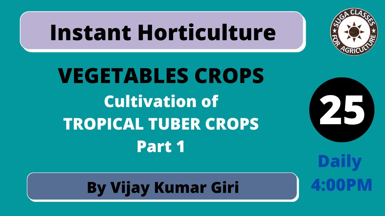 Lecture 25 Cultivation of Tropical tuber crop sweet potato cassava ...