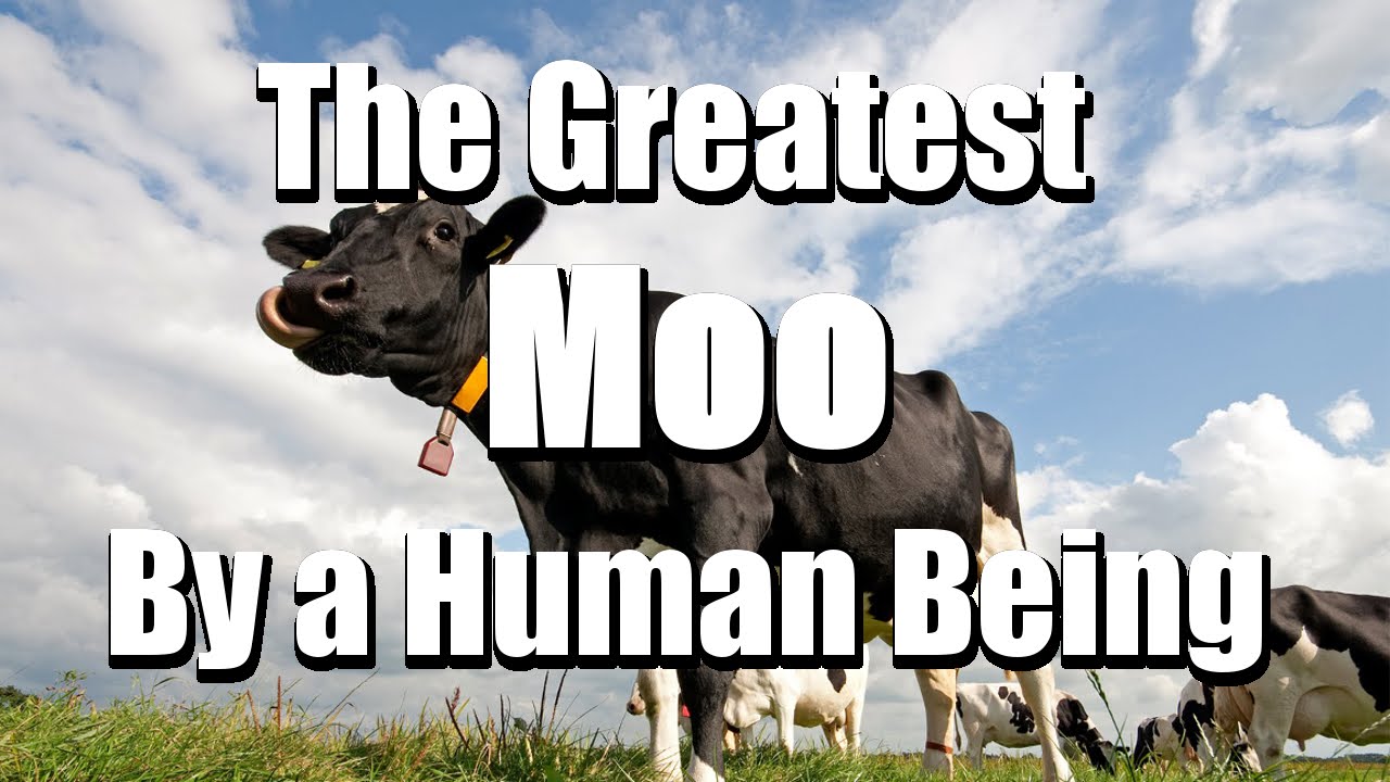 The World's Greatest Human MOO! - YouTube
