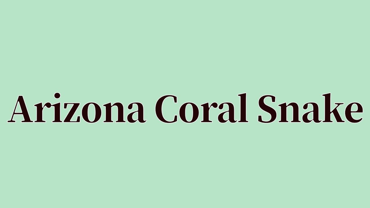 Arizona Coral Snake Pronunciation and Meaning - YouTube