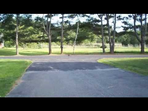 Nitro RC Duratrax Overdrive ST - YouTube