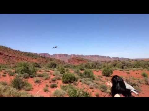 Free Flying Parrots at Castle Rock near Moab UT - YouTube
